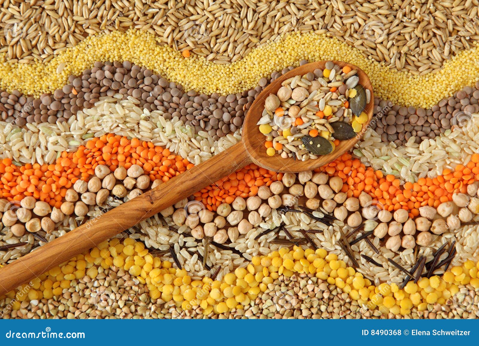 Various seeds and grains stock photo. Image of ingredient - 8490368