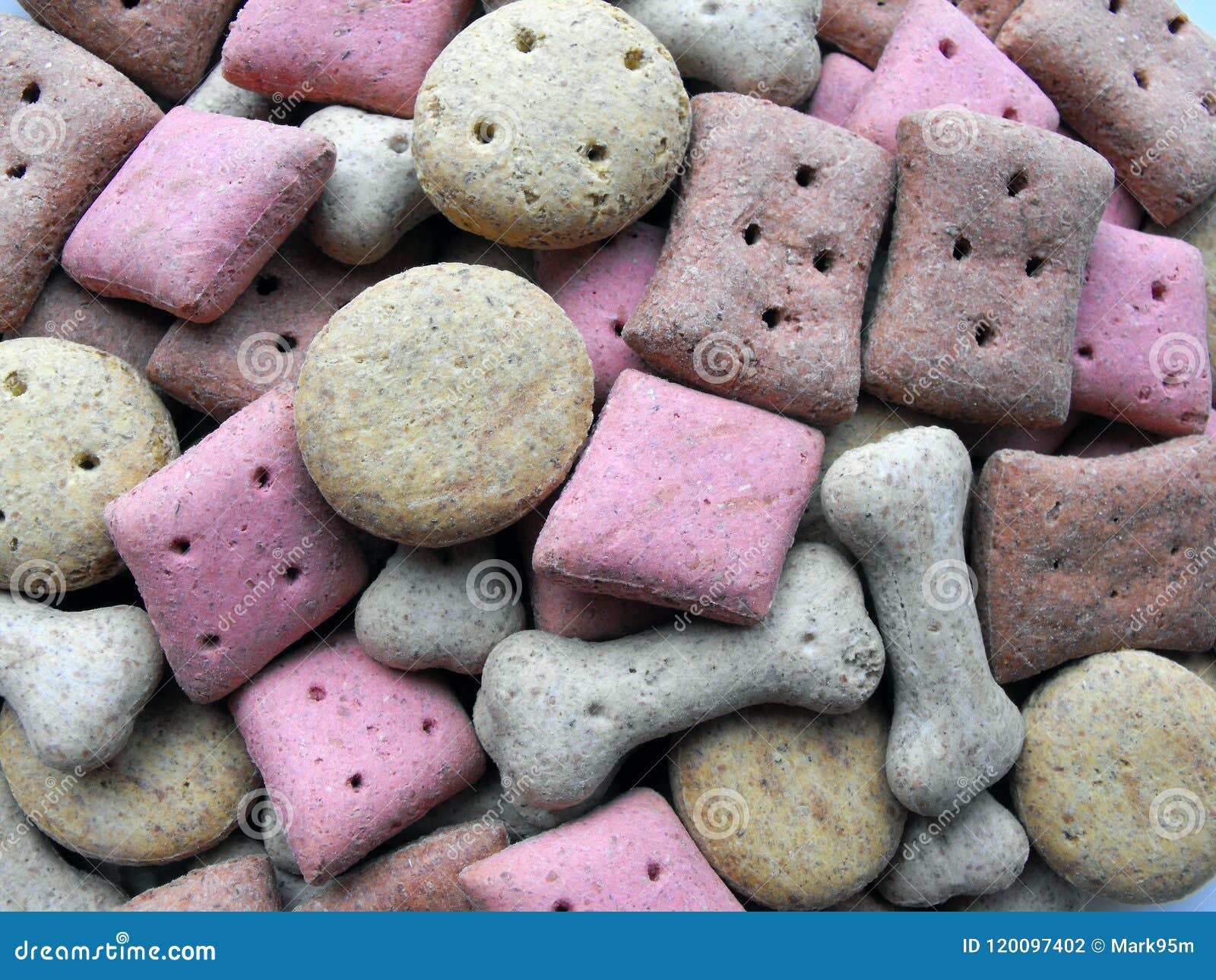 Various shape Dog Biscuits stock photo. Image of shapes - 120097402