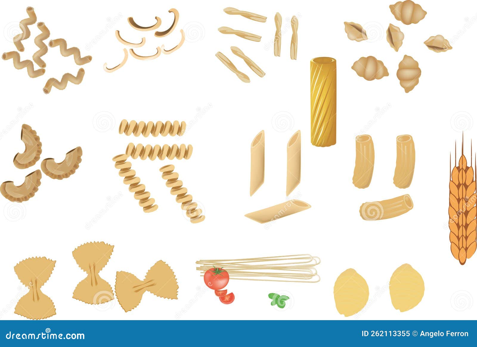 Various Shapes and Types of Italian Durum Wheat Pasta- Stock ...