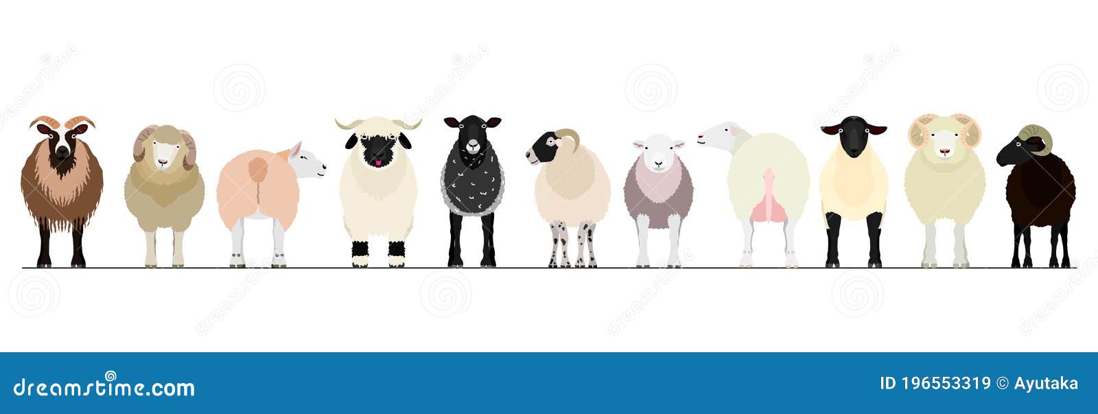 Various sheep border stock vector. Illustration of animal - 196553319