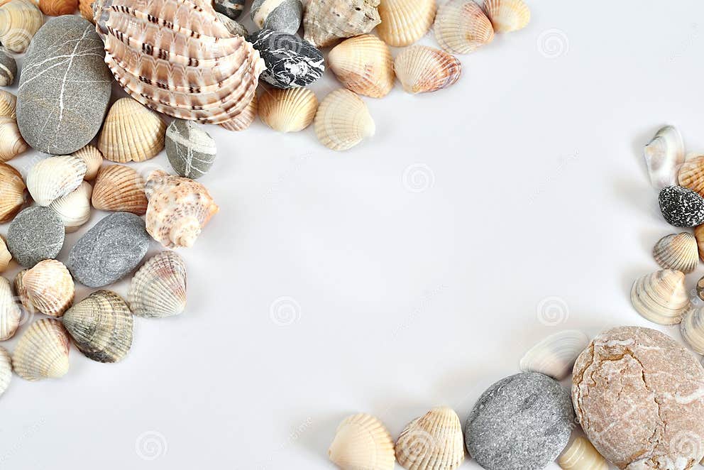 Various Shells and Pebbles on a Light Background Stock Image - Image of ...