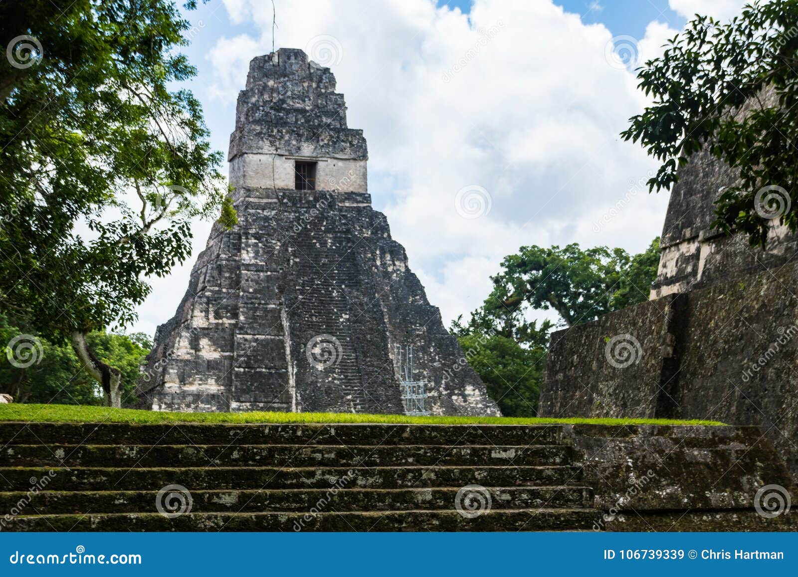 Details of the Ruins of Tikal Stock Image - Image of archaeological ...