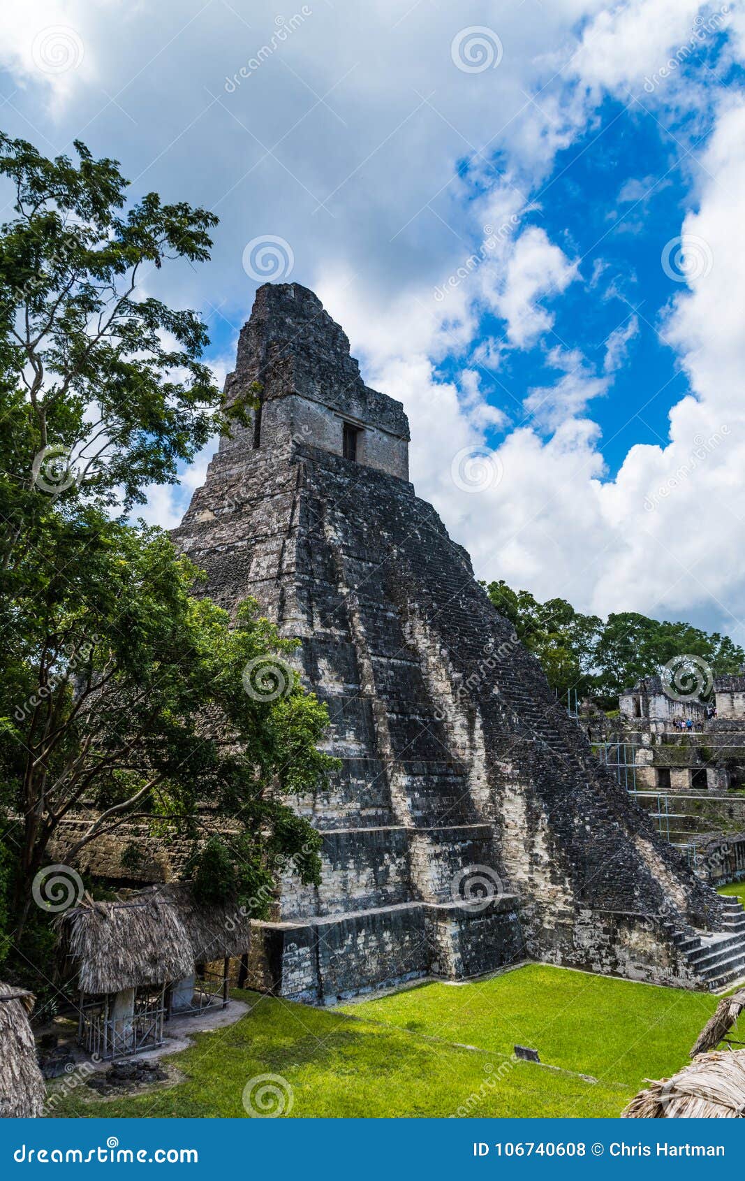 Details Of The Ruins Of Tikal Stock Photo | CartoonDealer.com #106739988