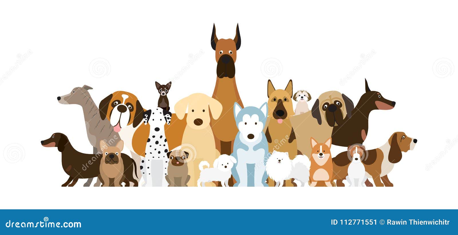 Group of Dog Breeds Illustration Stock Vector - Illustration of front ...