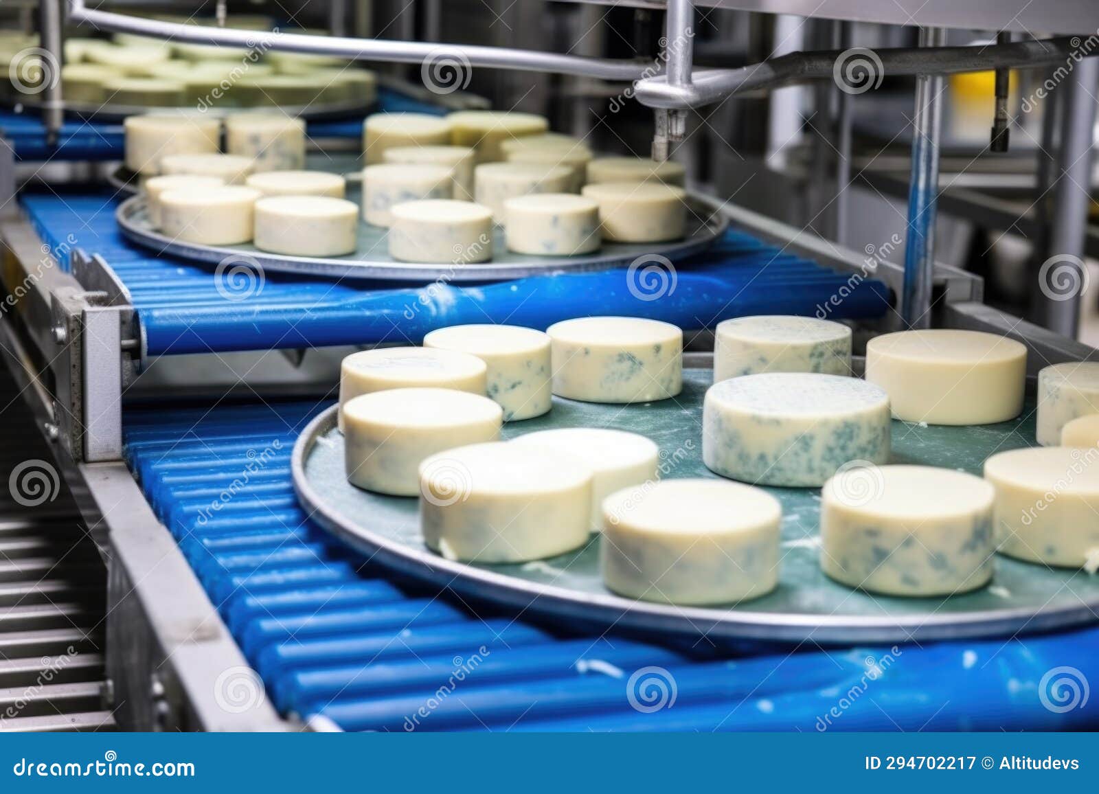 Various Sizes of Blue Cheese Wheels on a Conveyer Belt Stock Image ...