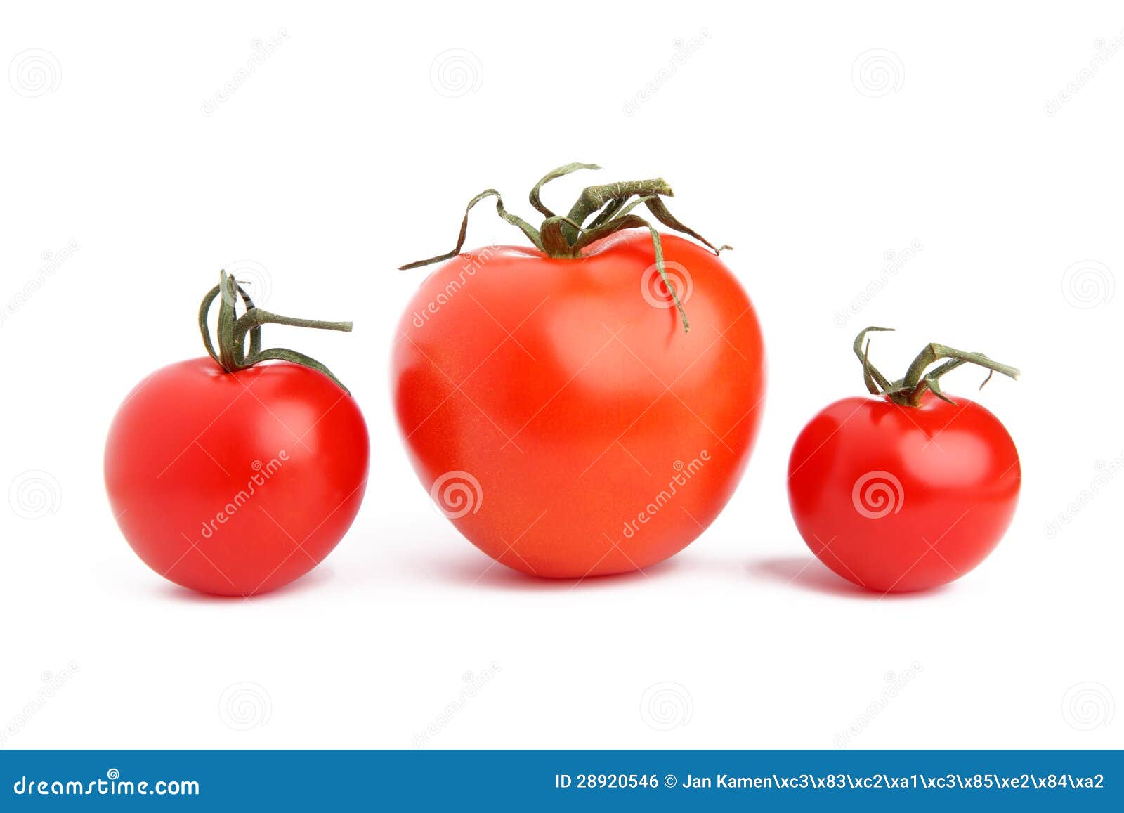 Various Sizes of Tomatoes on White Background Stock Photo - Image of ...