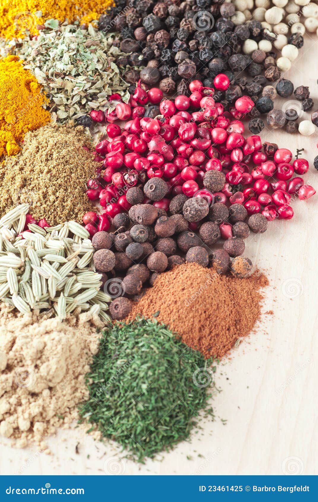 Various Spices stock image. Image of oregano, dill, ginger - 23461425
