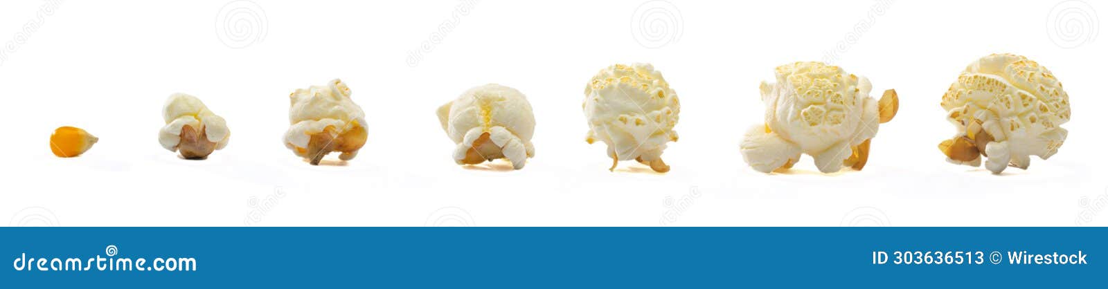 Various Stages of Corn To Become Popcorn Stock Image - Image of ...