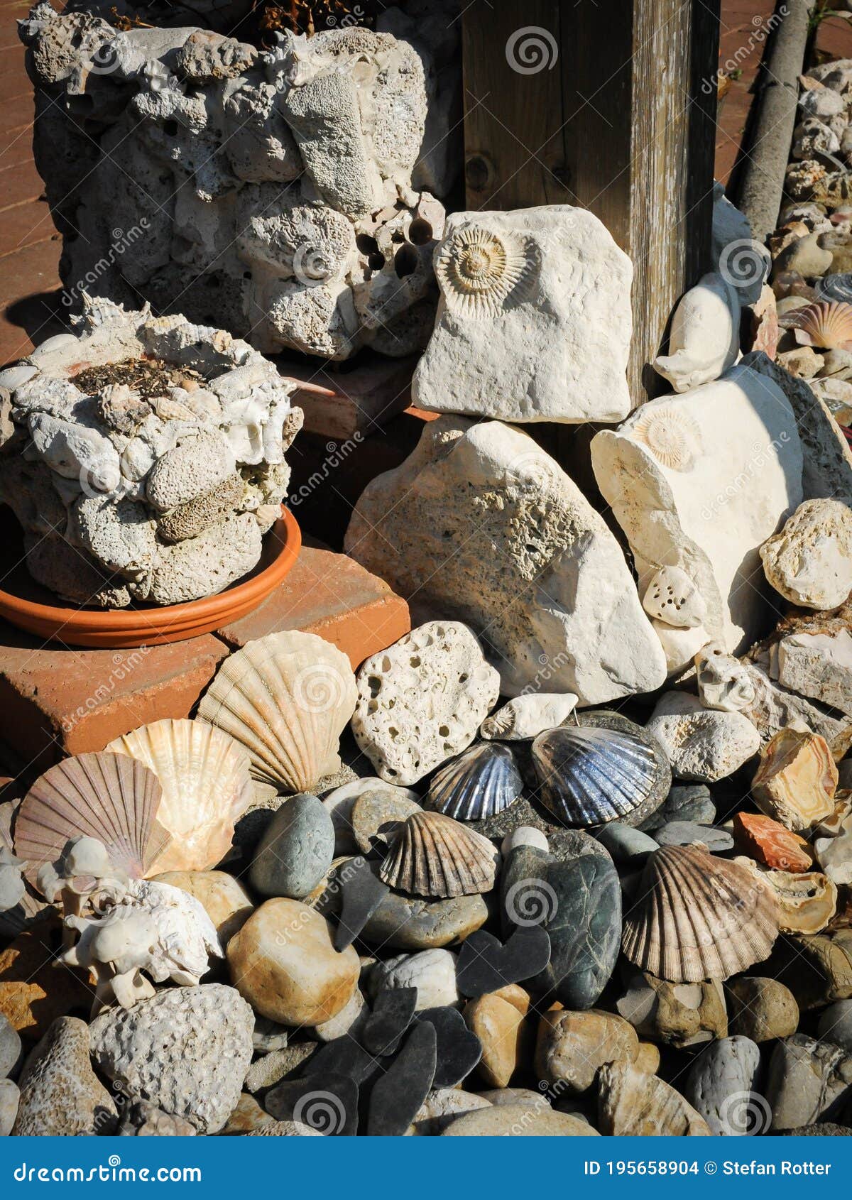 Various Stones and Shells Lying on the Ground Stock Photo - Image of ...