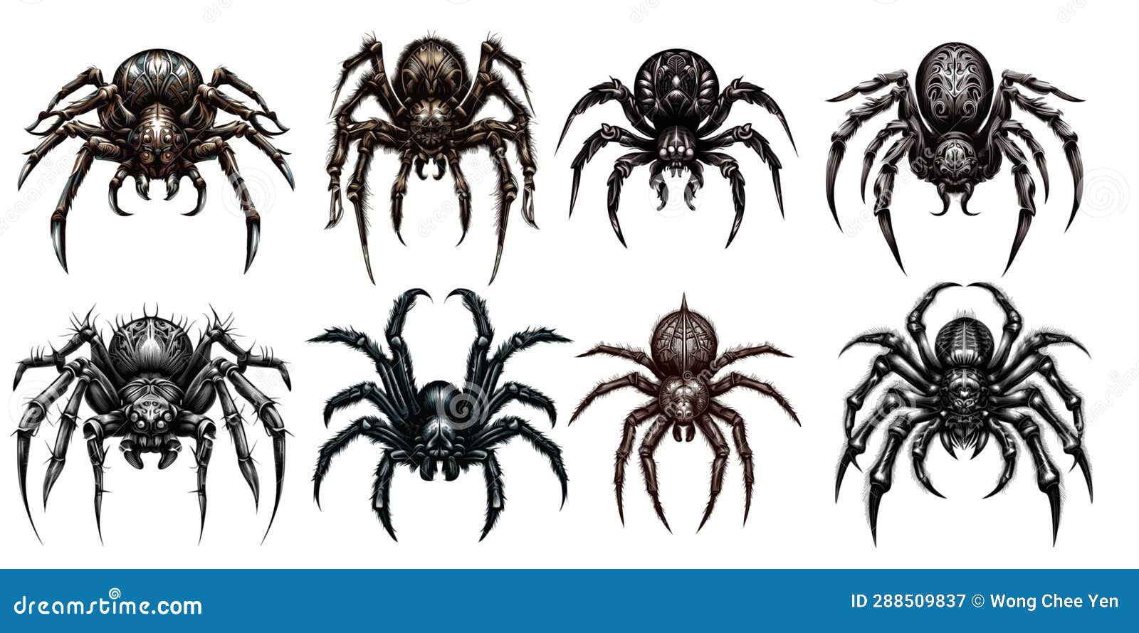 Various Stylish Spider Vector Graphics, 8 Versions Stock Illustration ...