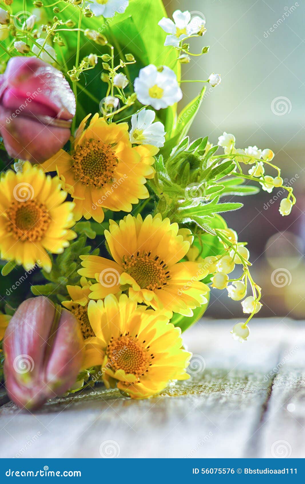 Various Summer Flowers on the Table Stock Photo - Image of nature ...
