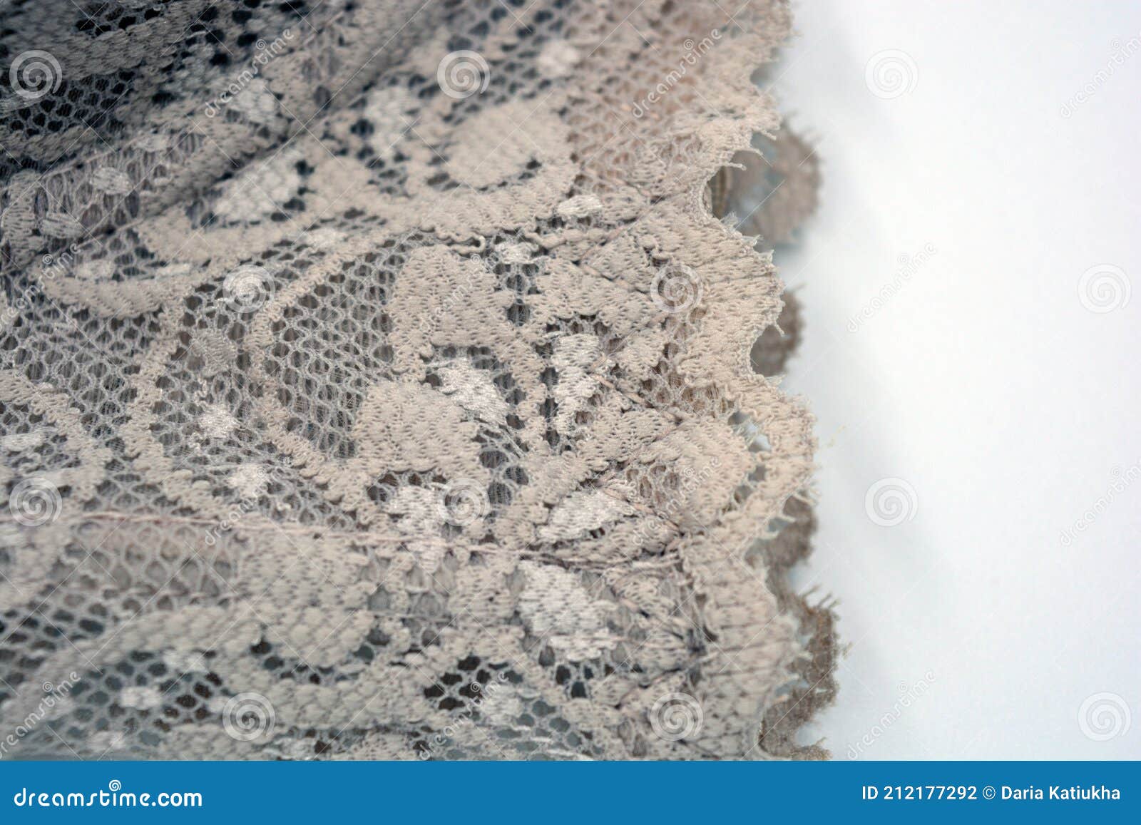 Beautiful Gentle Female Brown Lace Fabric with Flowers and Patterns ...