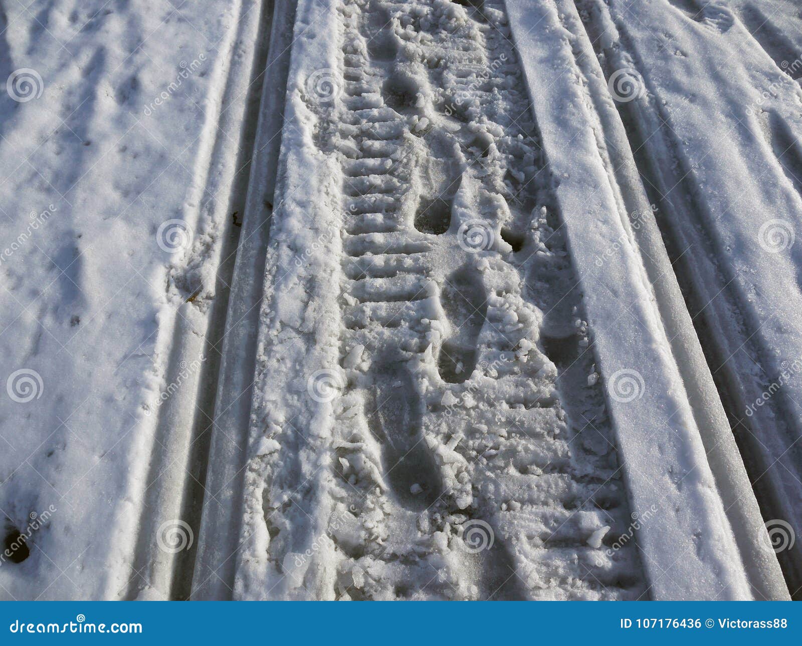 Various Tracks on Snow stock photo. Image of winter - 107176436