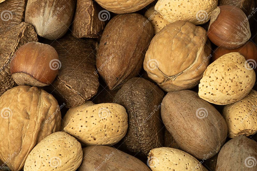 Various tree nuts closeup stock image. Image of variety - 318002911