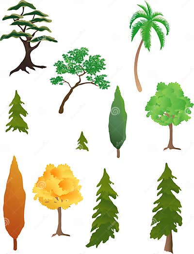 Various trees stock vector. Illustration of leaved, frond - 3134761