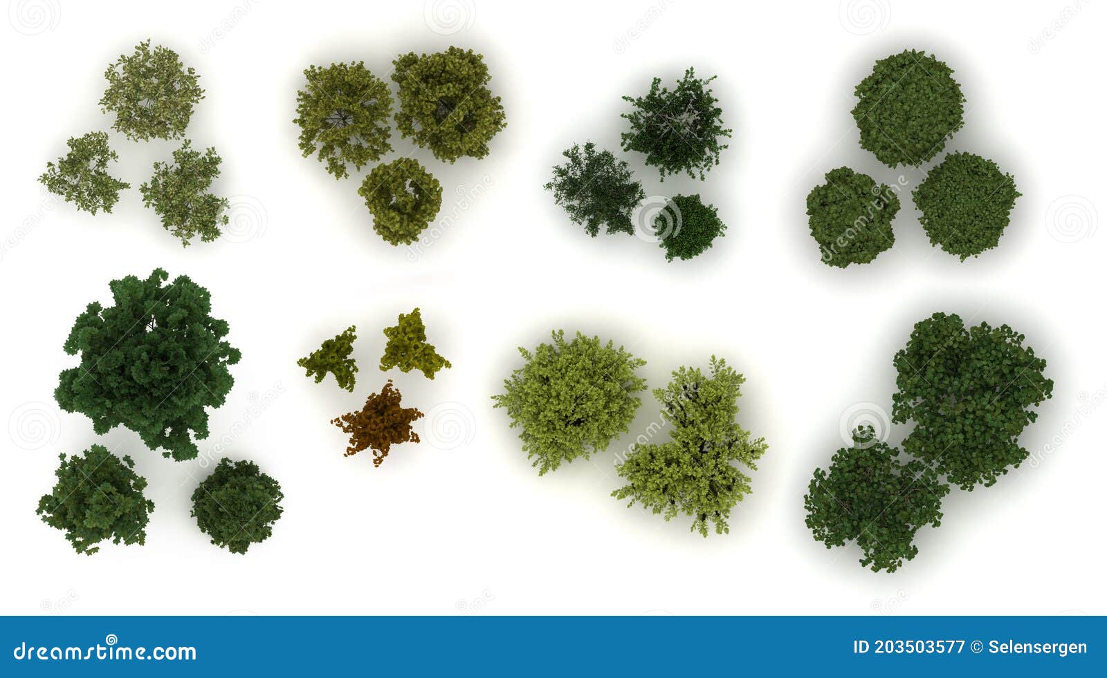 Various Trees from Top View Stock Image - Image of filbert, maple ...