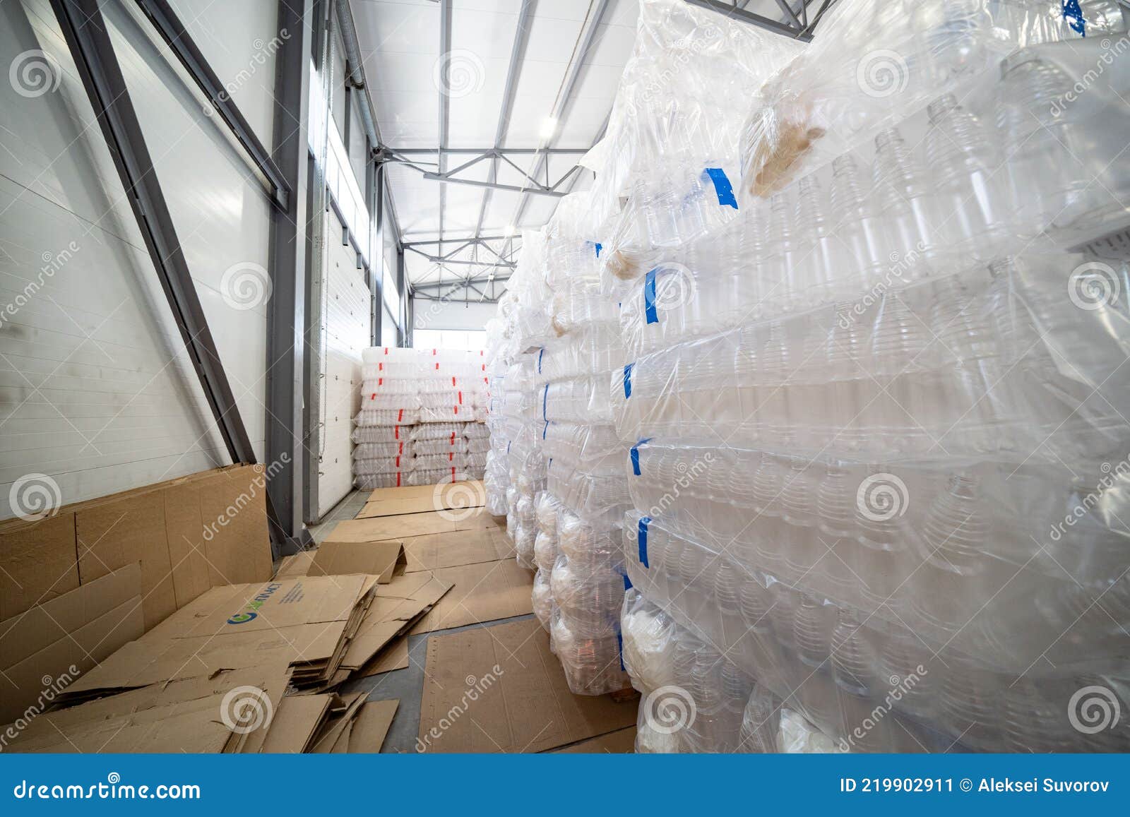 The Various Type of Plastic Bottle Product and Stock Image - Image of ...