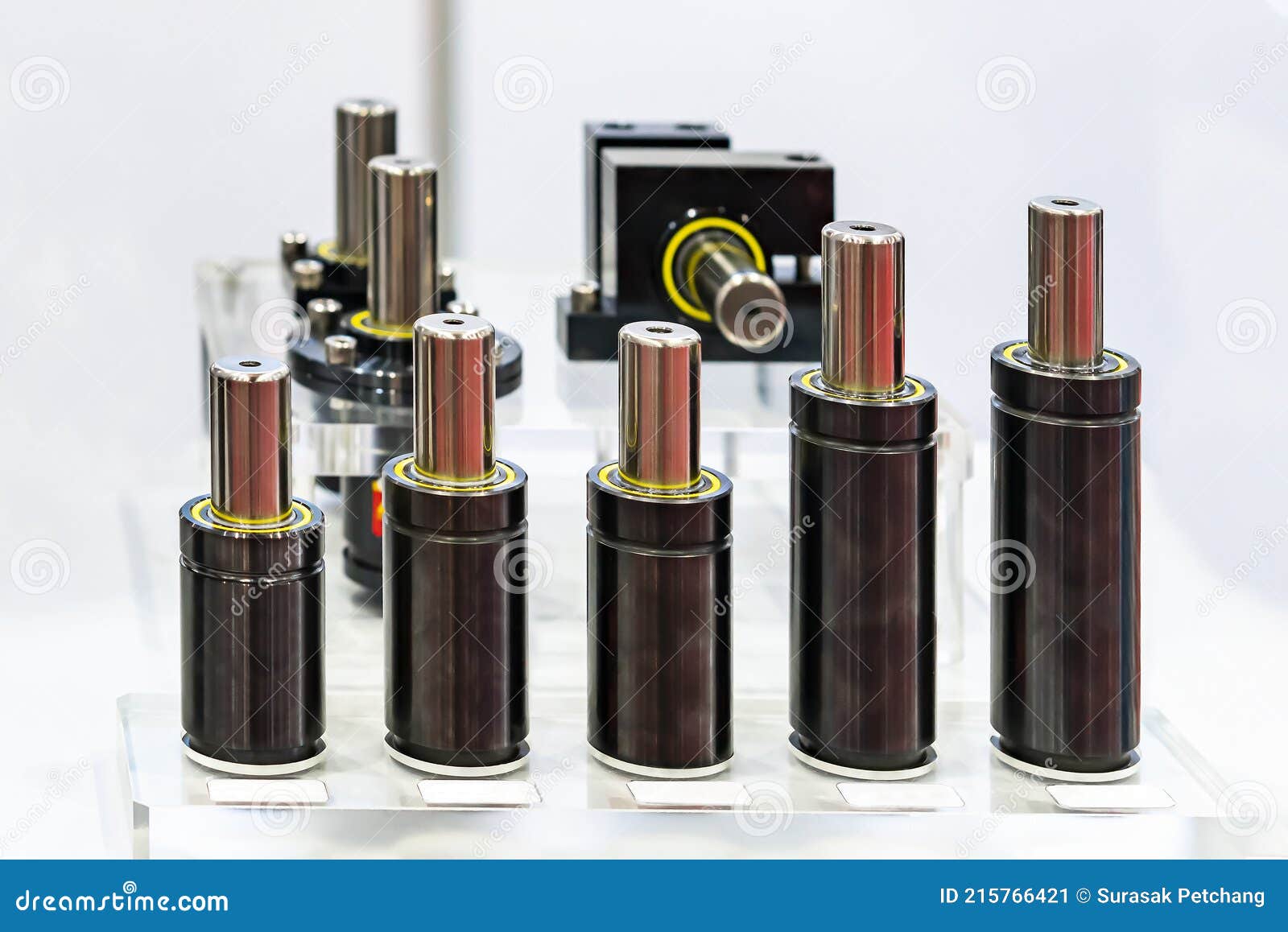 Various Type and Size Nitrogen Gas Spring Shock Absorber for Injection ...