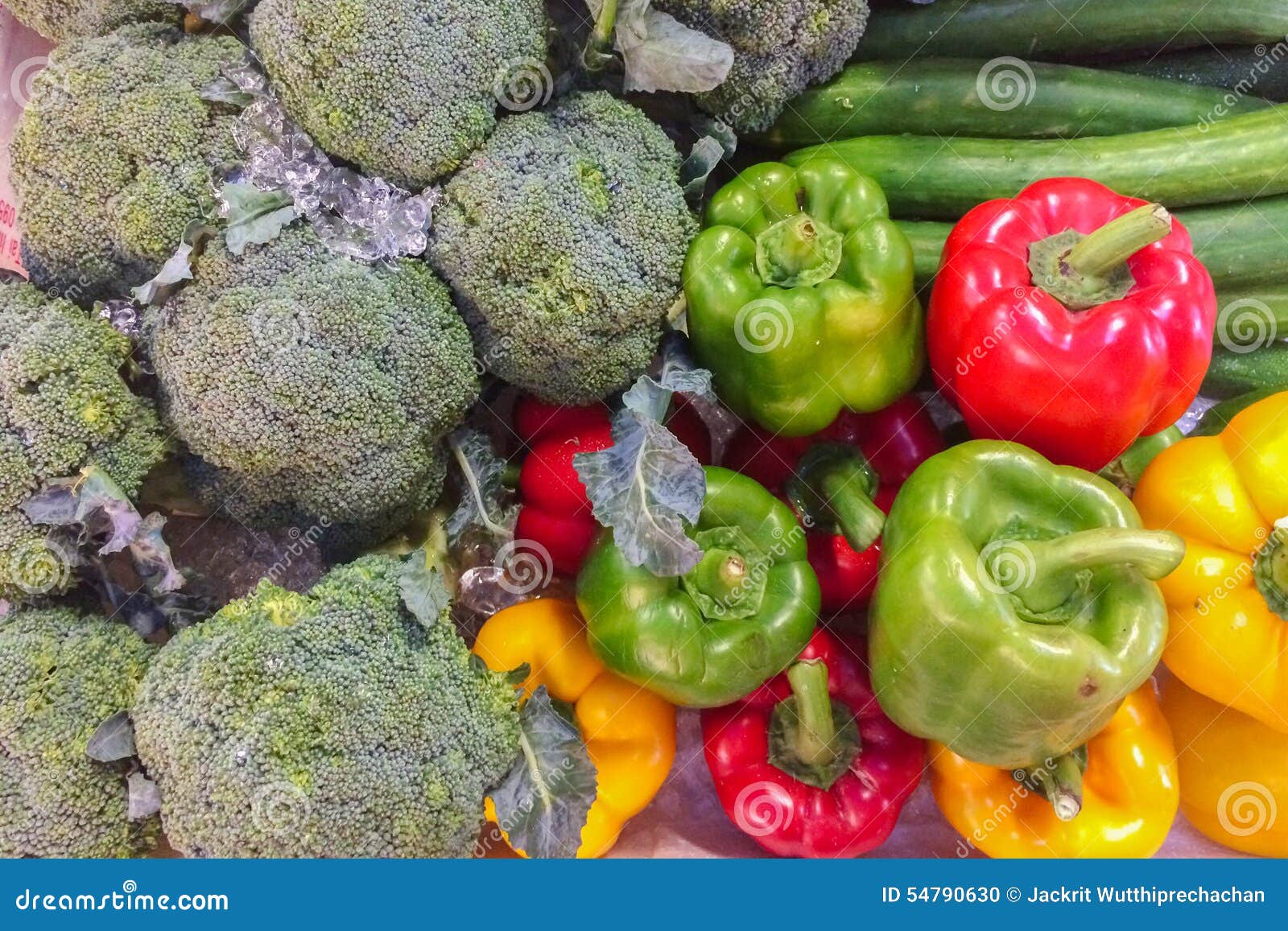 Various Type of Vegetables stock photo. Image of harvest - 54790630