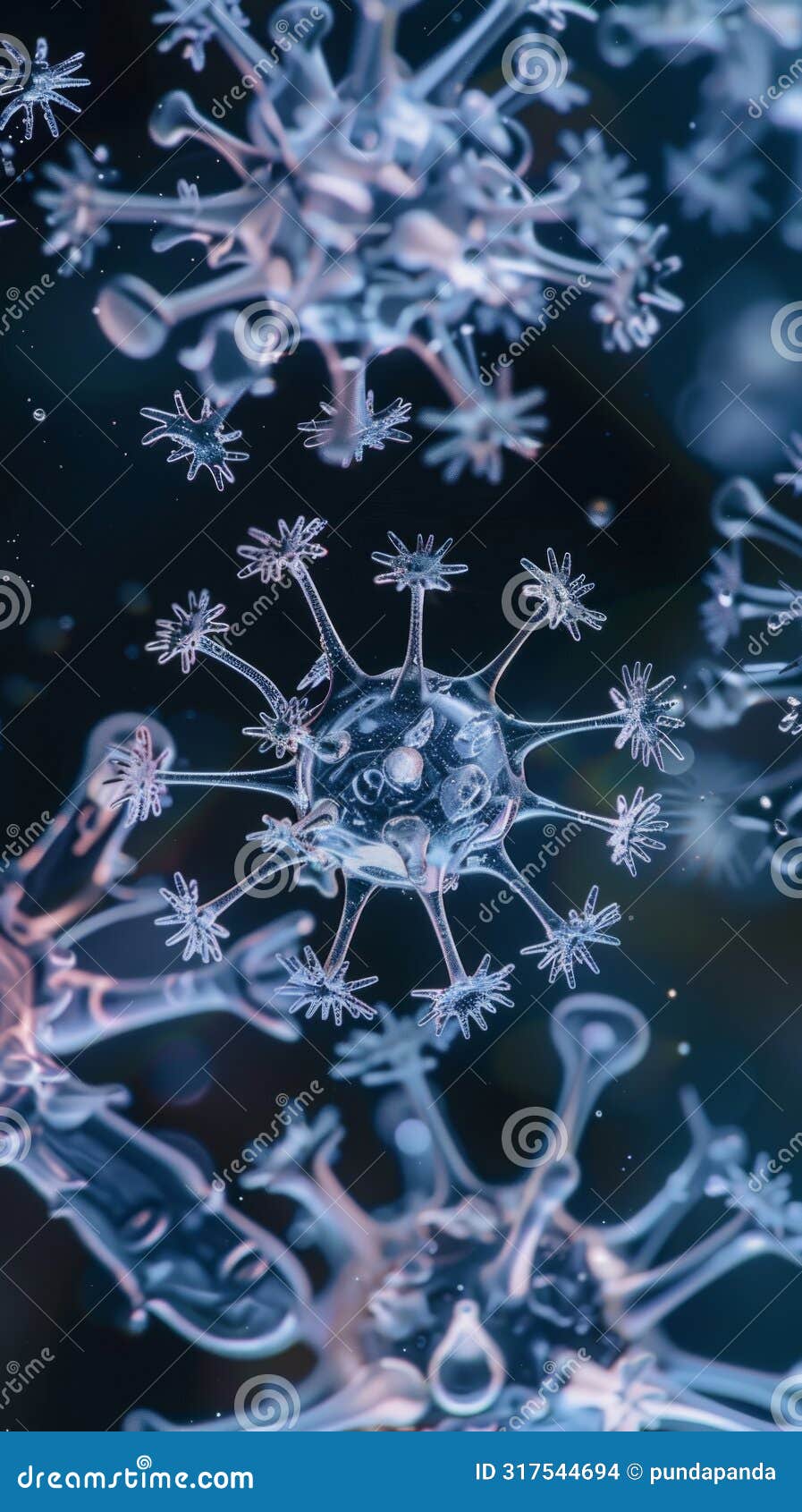 Various Types of Bacteria Under a Microscope Stock Photo - Image of ...