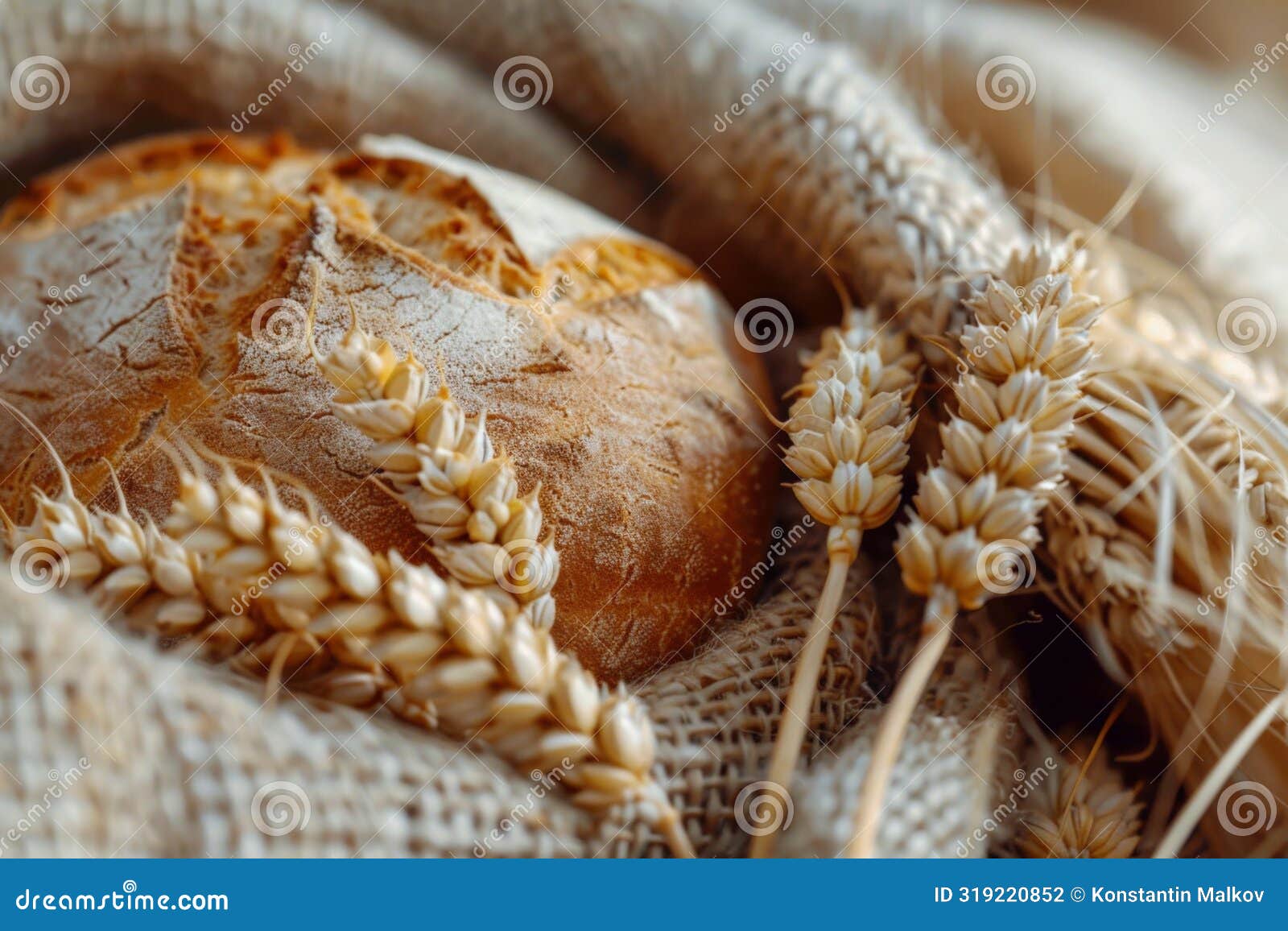 The Concept of Baking Bread. Various Breads and Wheat Varieties ...