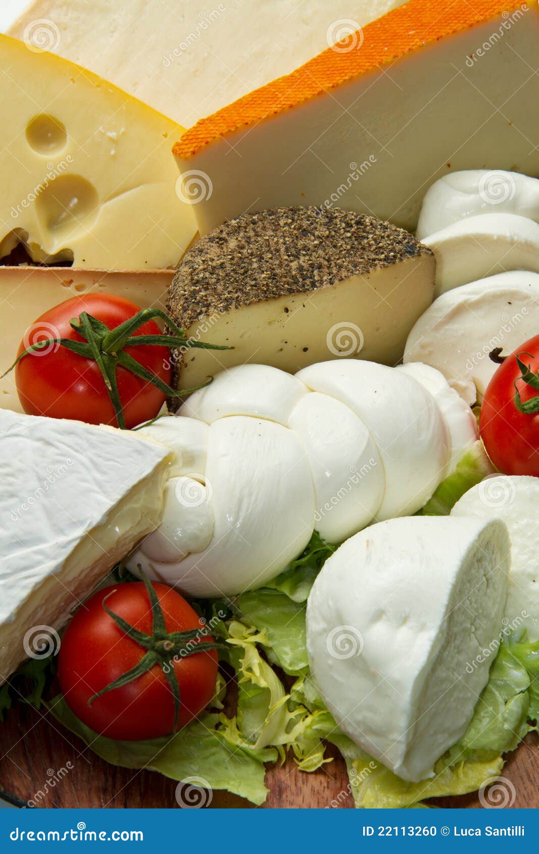 Various types of cheese stock photo. Image of diet, meal - 22113260