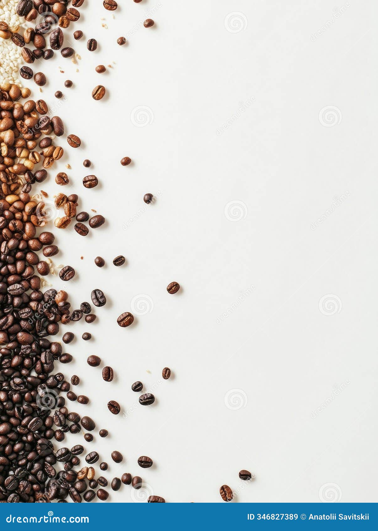 Various Types of Coffee Beans are Spread Out on a White Surface ...