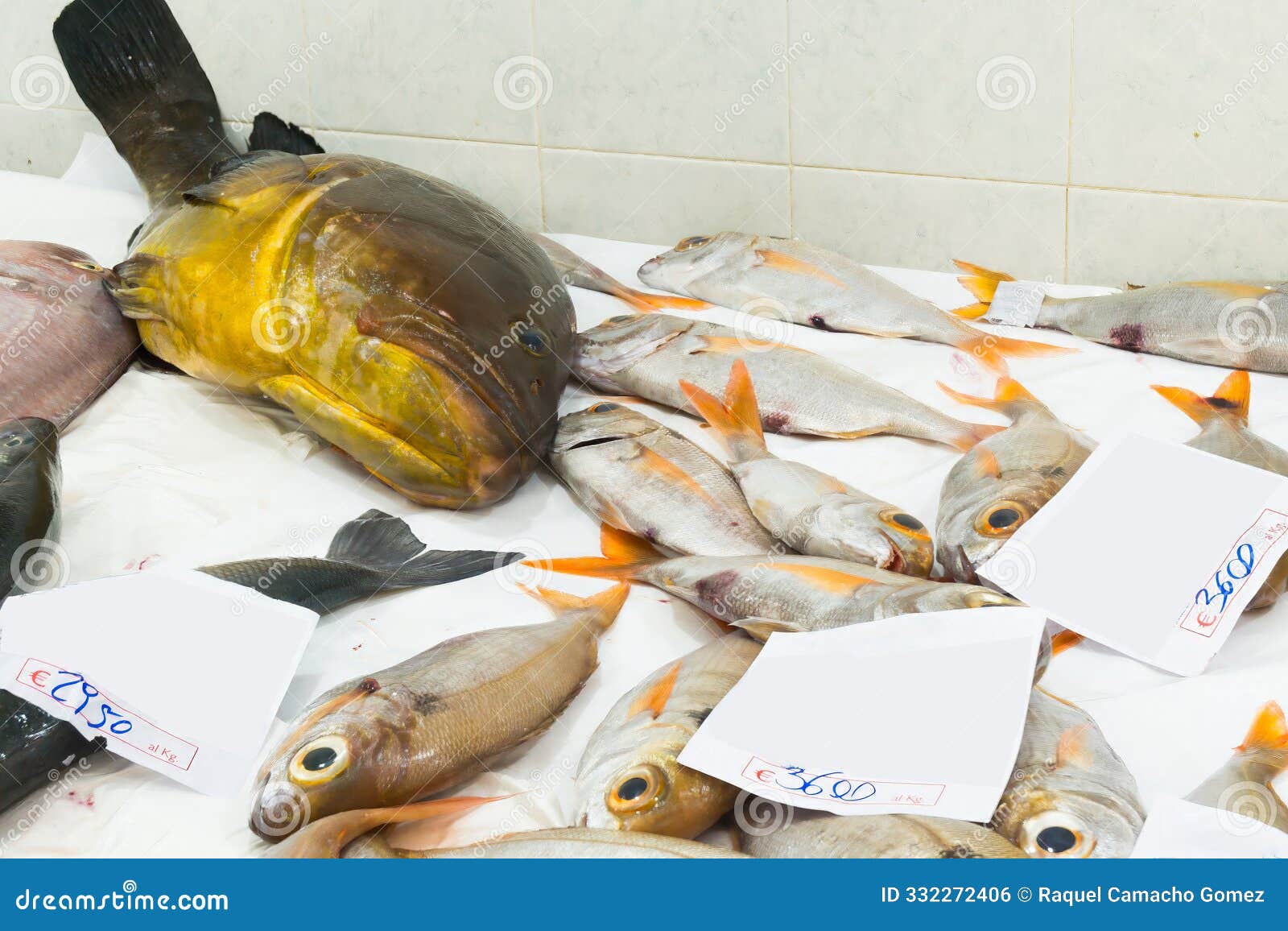 Various Types of Fresh Fish in a Small Fish Market in Sicily Stock ...
