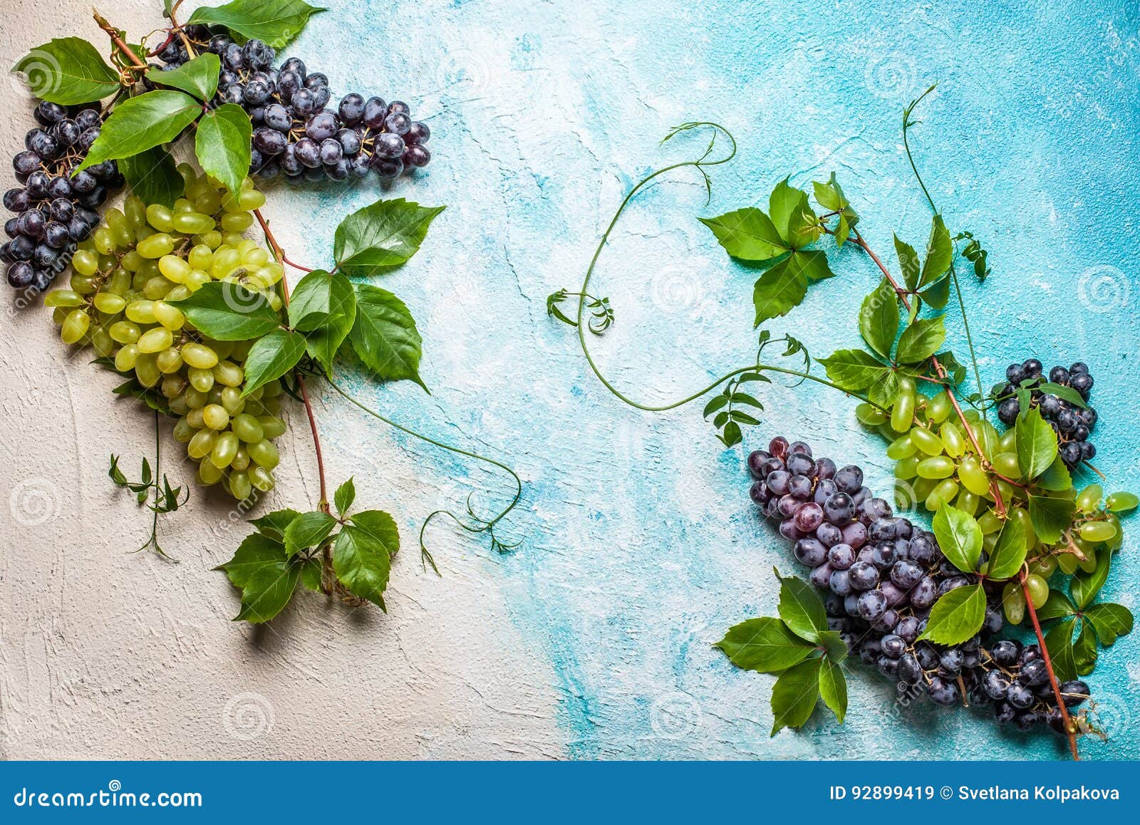 Various Types of Grapes with Leaves Stock Image - Image of berry ...