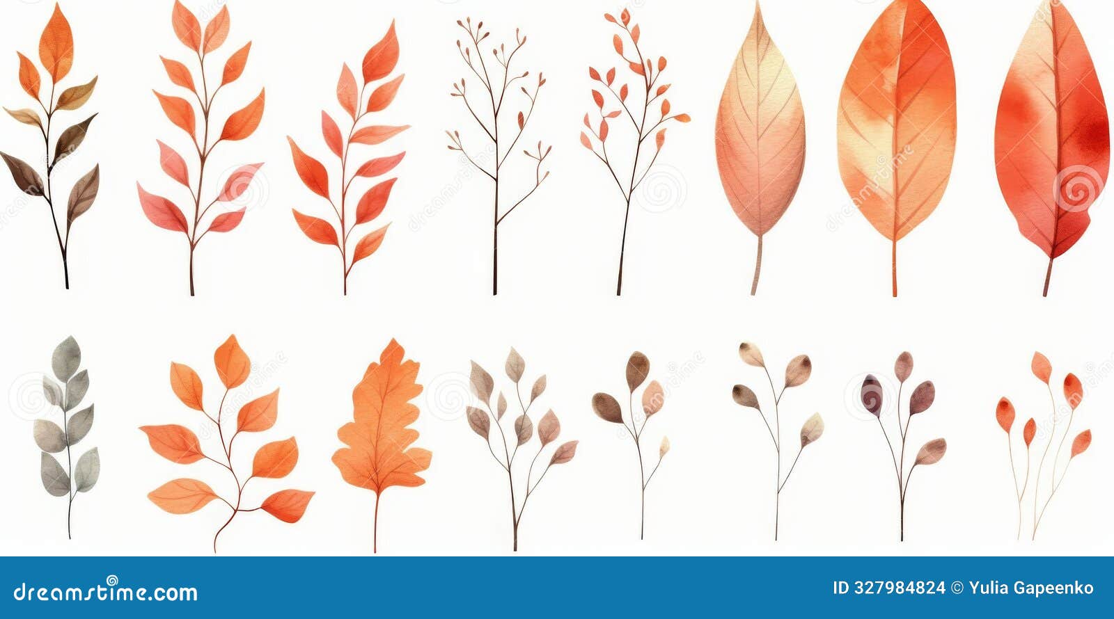 Various Types of Leaves on White Background Stock Photo - Image of ...