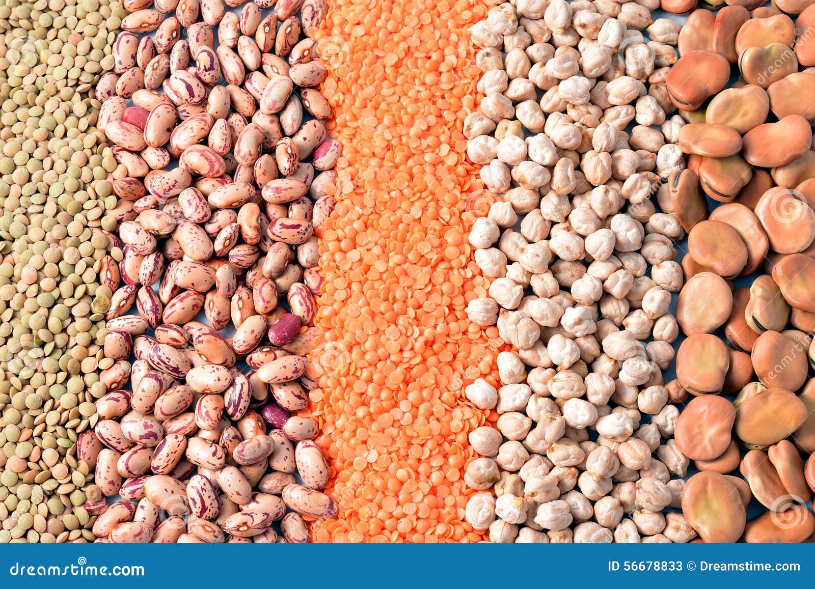 Various types of legumes stock image. Image of shred - 56678833