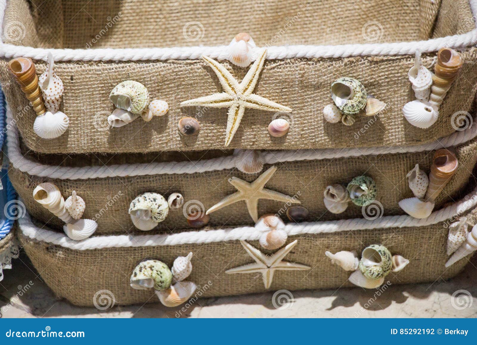 Various Types of Little Seashells and Starfish on the Face of a Stock ...
