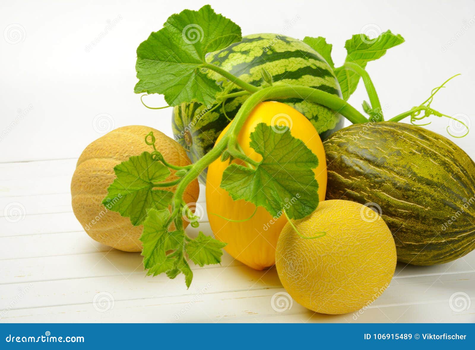 Ripe melon varieties stock image. Image of santa, melon - 106915489