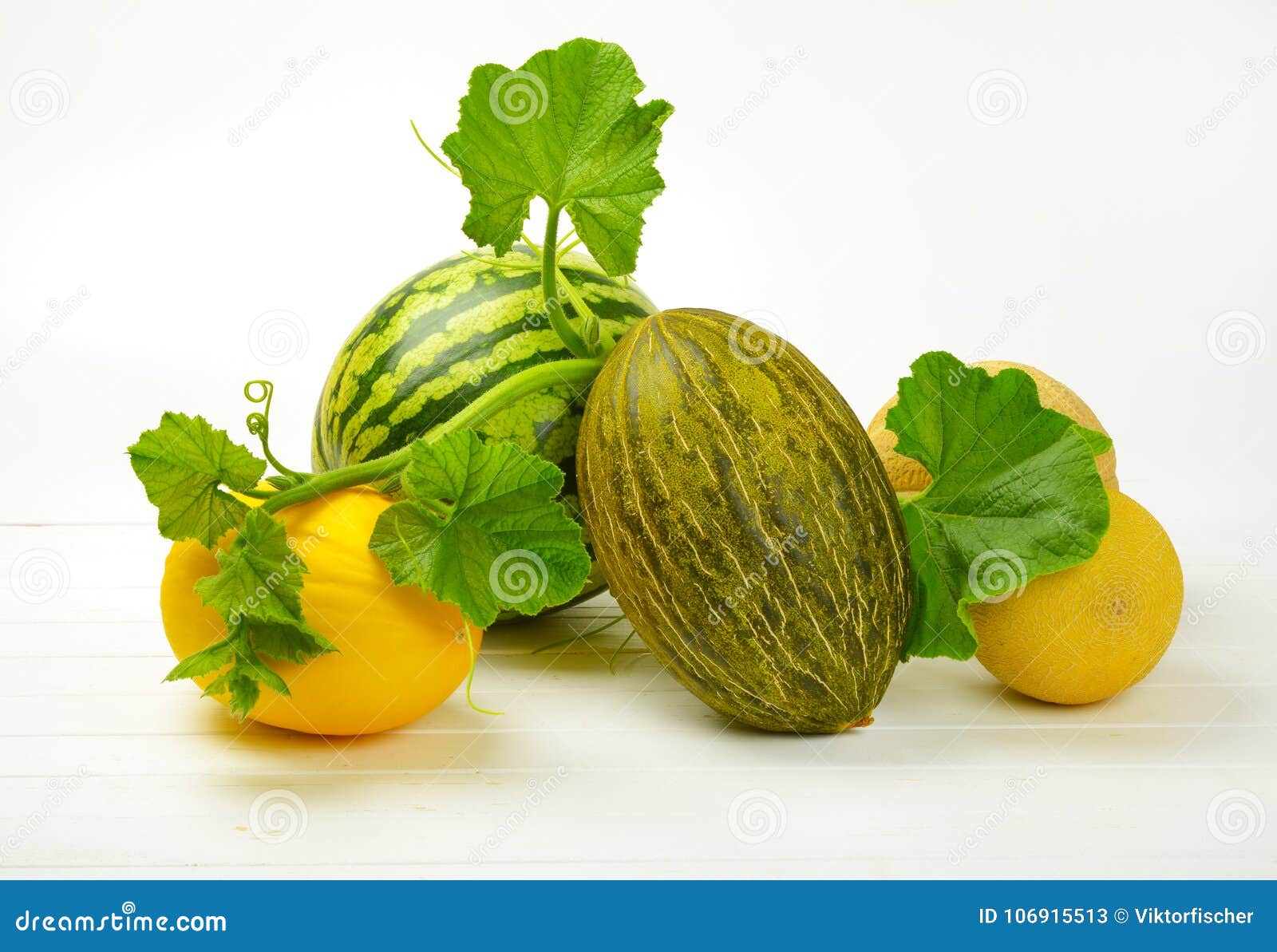 Ripe melon varieties stock image. Image of shot, galia - 106915513