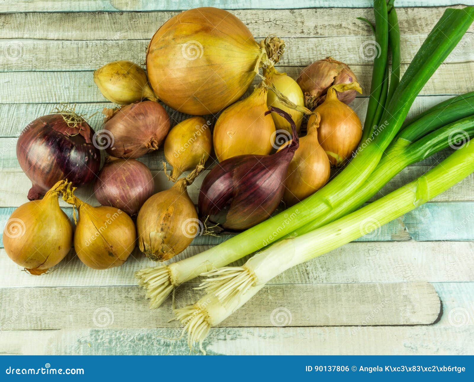 Various types of onions stock photo. Image of close, onion - 90137806
