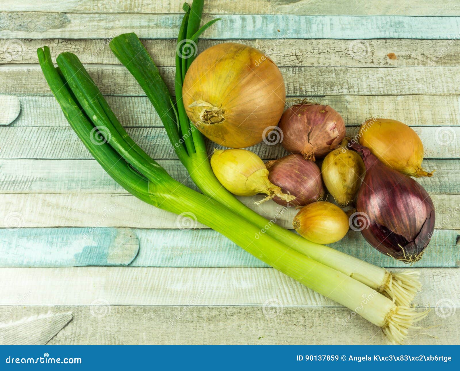Various types of onions stock image. Image of onion, bulb - 90137859