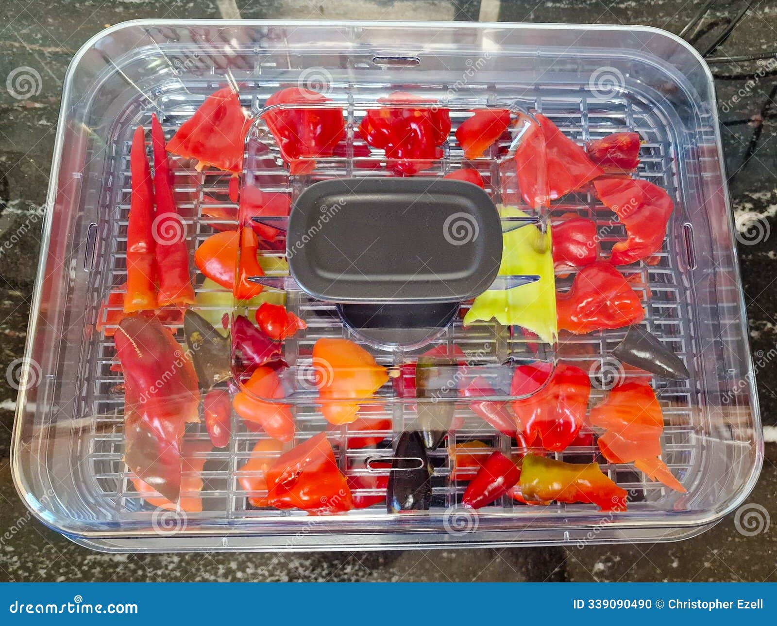 Top View Peppers Processing in a Electrical Kitchen Dehydrator. Stock ...