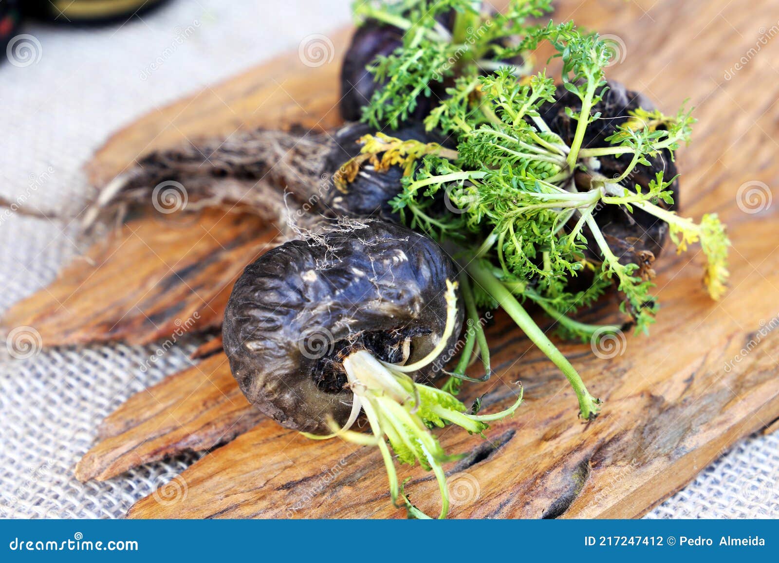 Fresh Maca Roots or Peruvian Ginseng Stock Photo - Image of meal ...