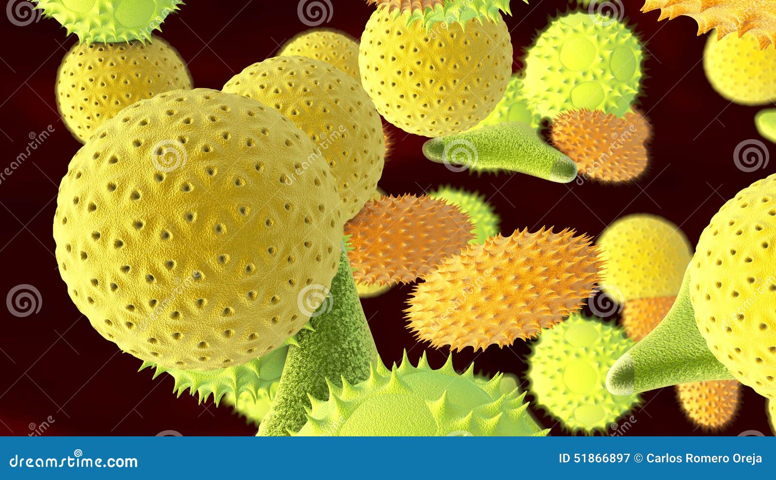 Various types of pollen stock illustration. Illustration of pollen ...