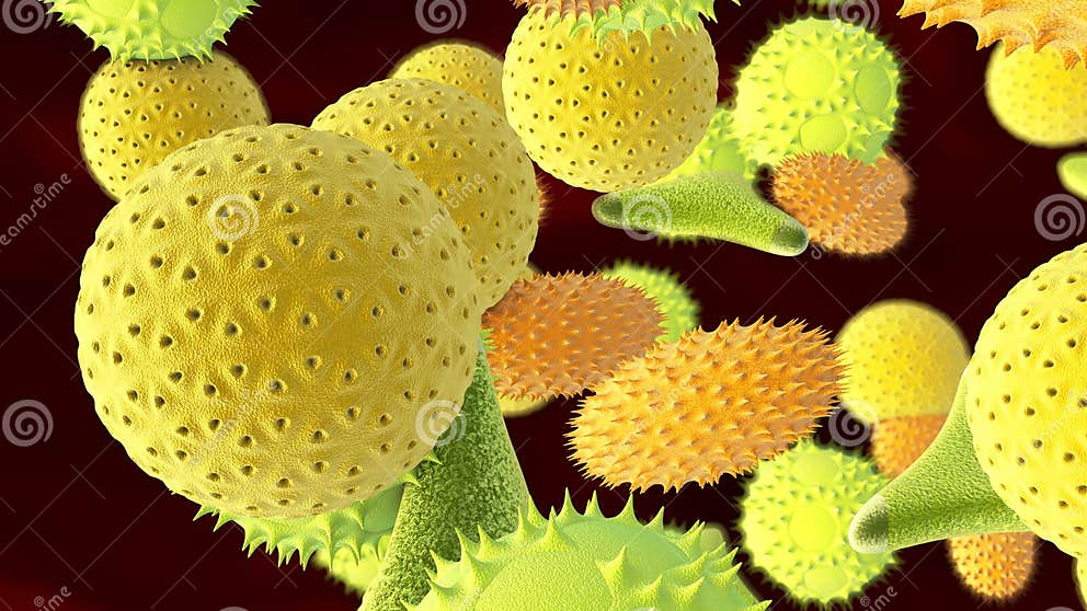 Various types of pollen stock illustration. Illustration of pollen ...