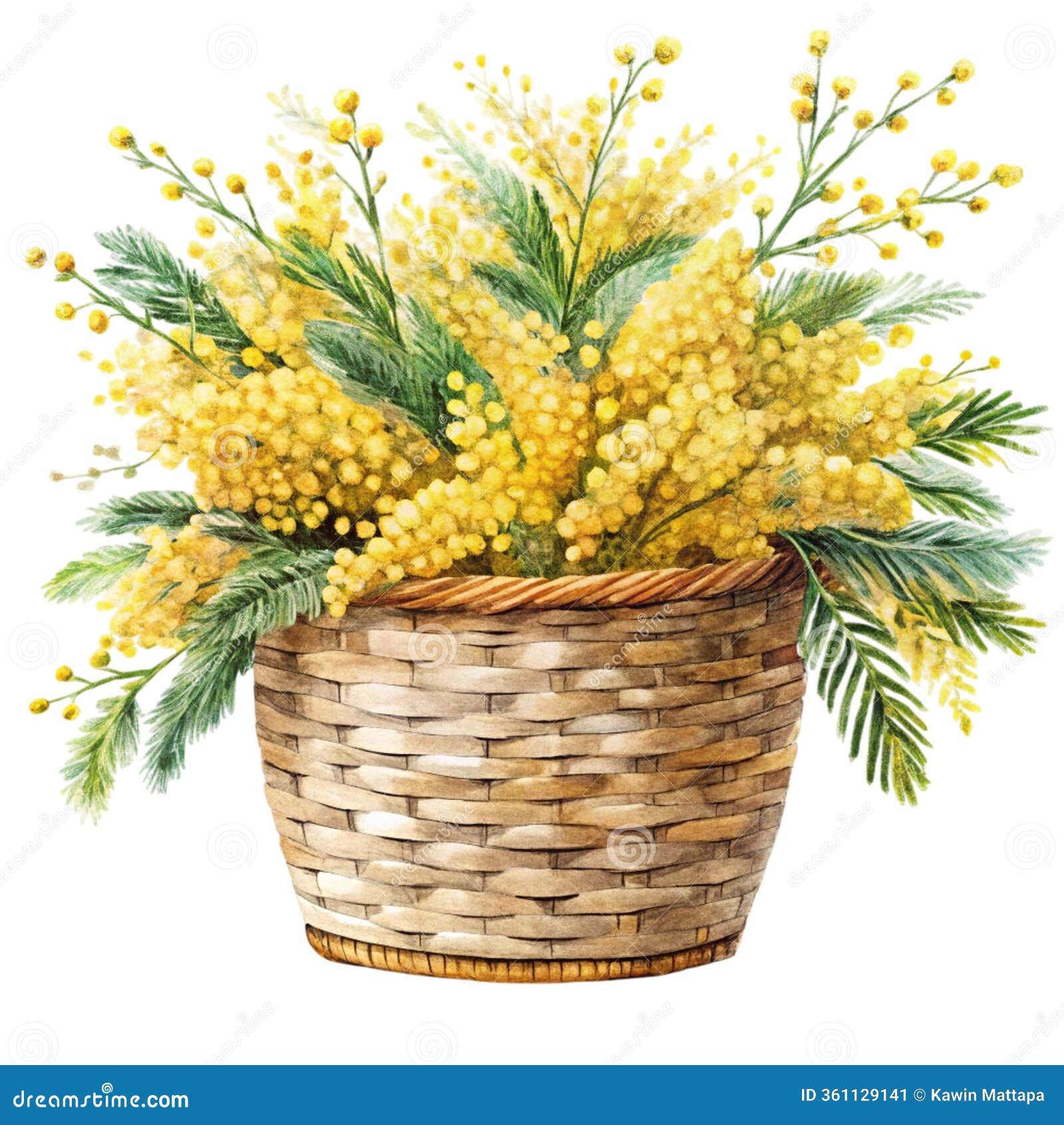Various Types of Pots Mimosa Clipart Watercolor Stock Illustration ...