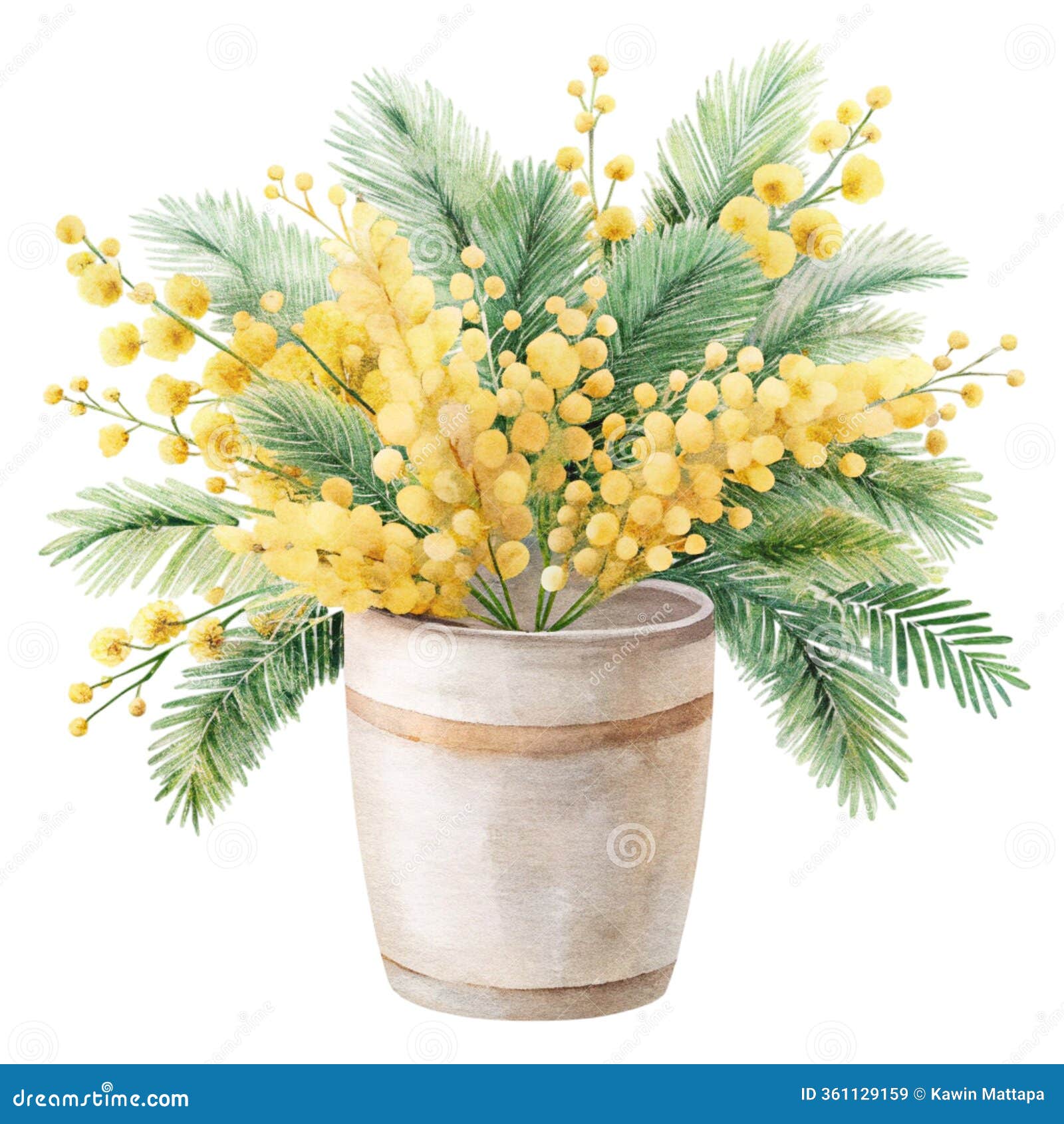 Various Types of Pots Mimosa Clipart Watercolor Stock Illustration ...