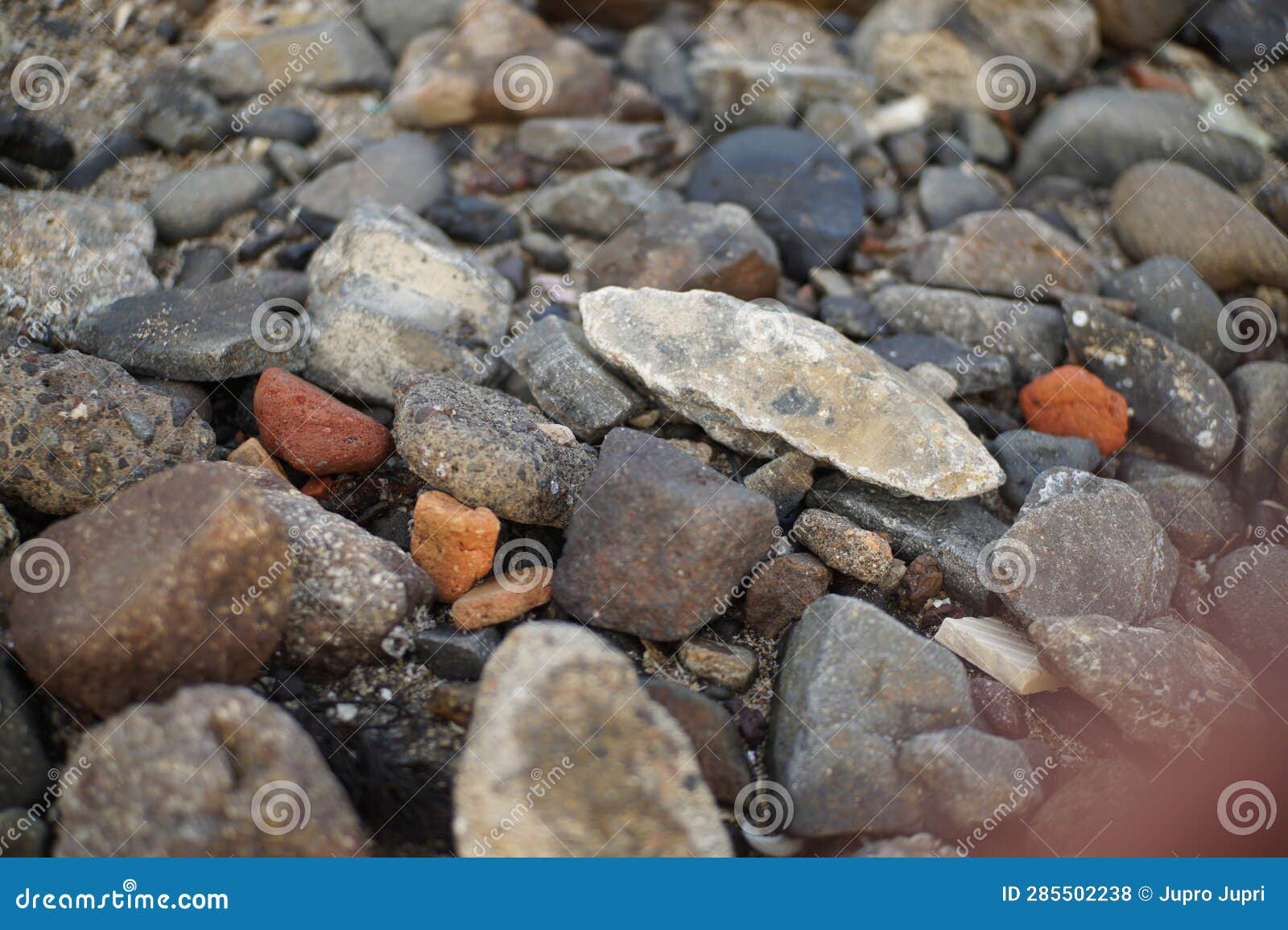 Various Types of Stones are on the Beach. Stock Photo - Image of ...