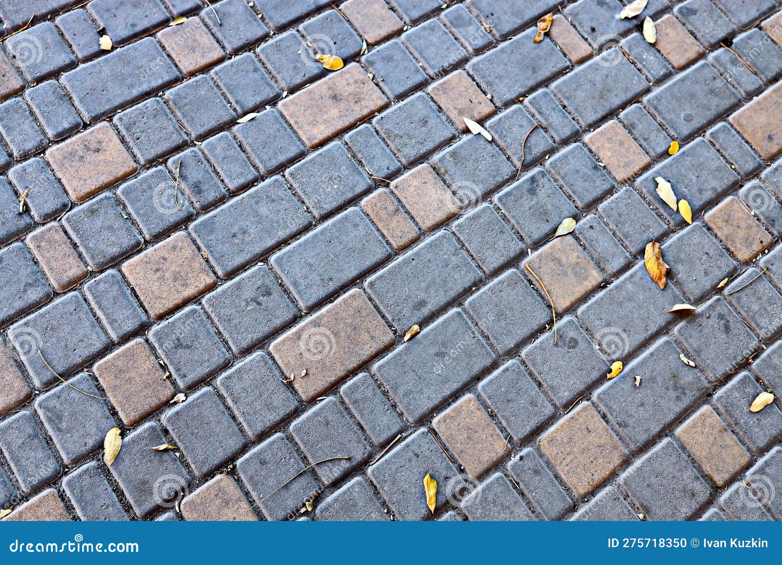 Various Types of the Tiles and Stones Used for Laying Sidewalks and ...