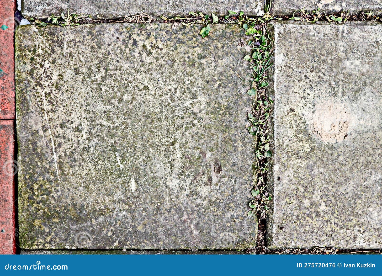 Various Types of the Tiles and Stones Used for Laying Sidewalks and ...