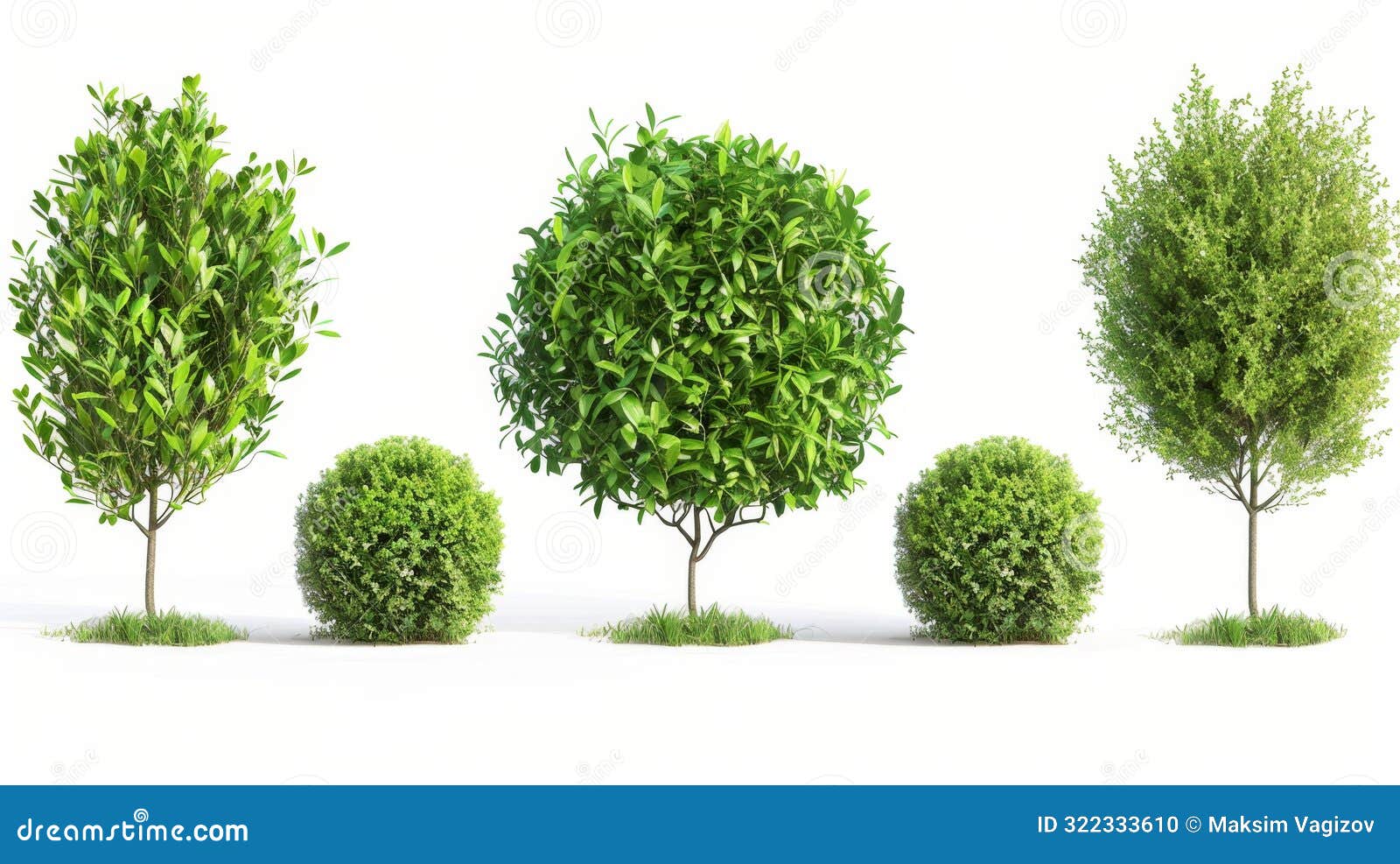 Types Of Landscaping And Decorations Garden Paths Stock Image ...