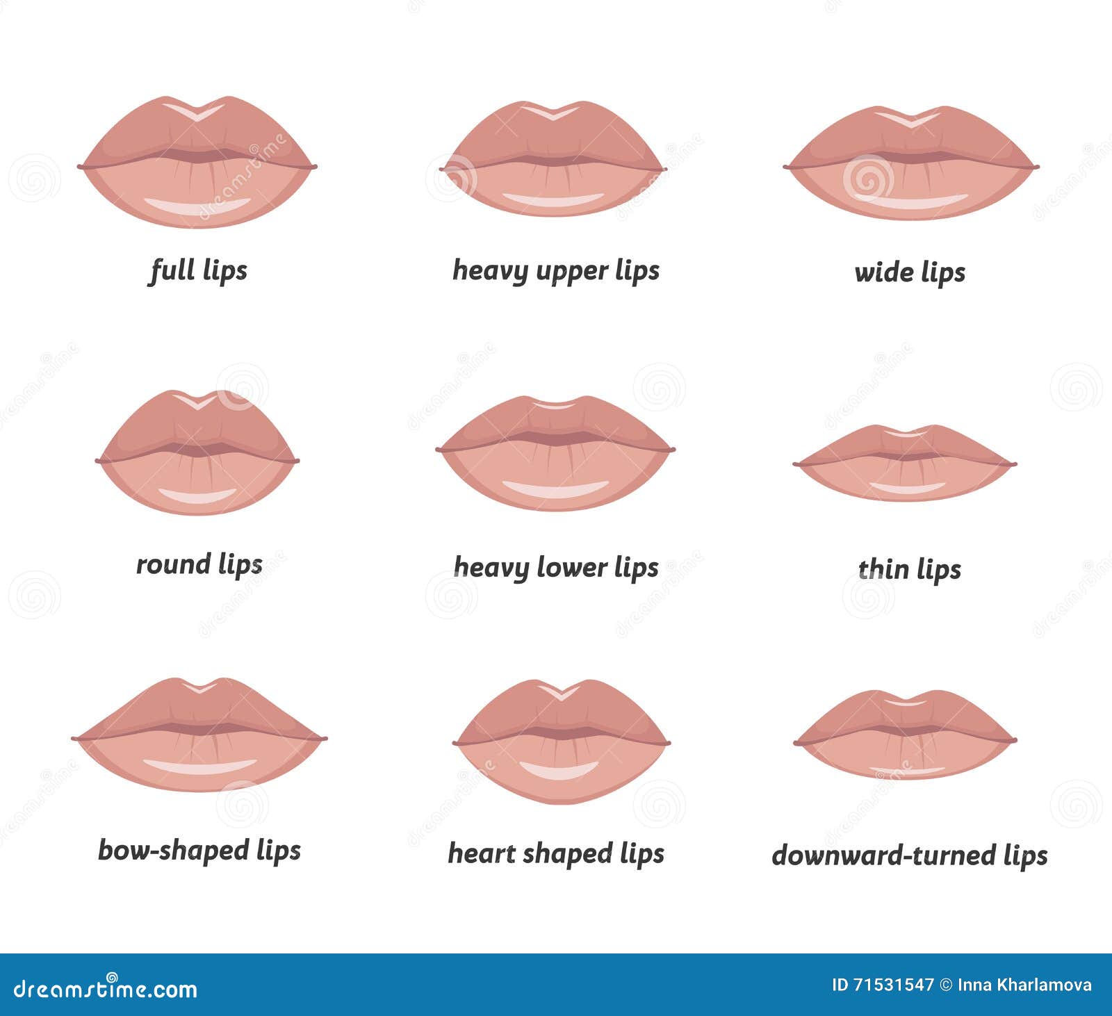 Various Types of Woman Lips. Stock Vector - Illustration of makeup ...