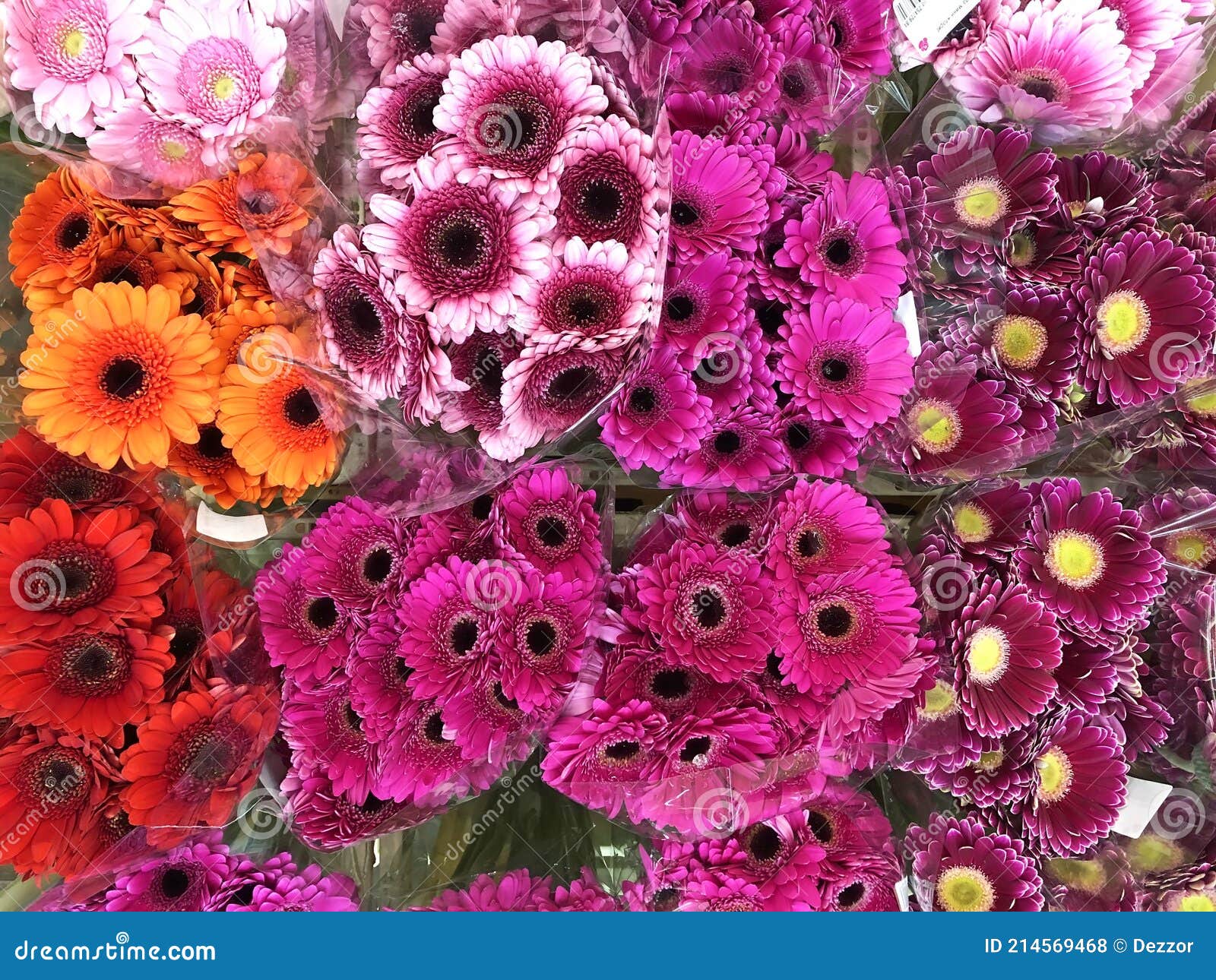 Various Varieties of Gerberas in Bouquets Close Up Stock Photo - Image ...