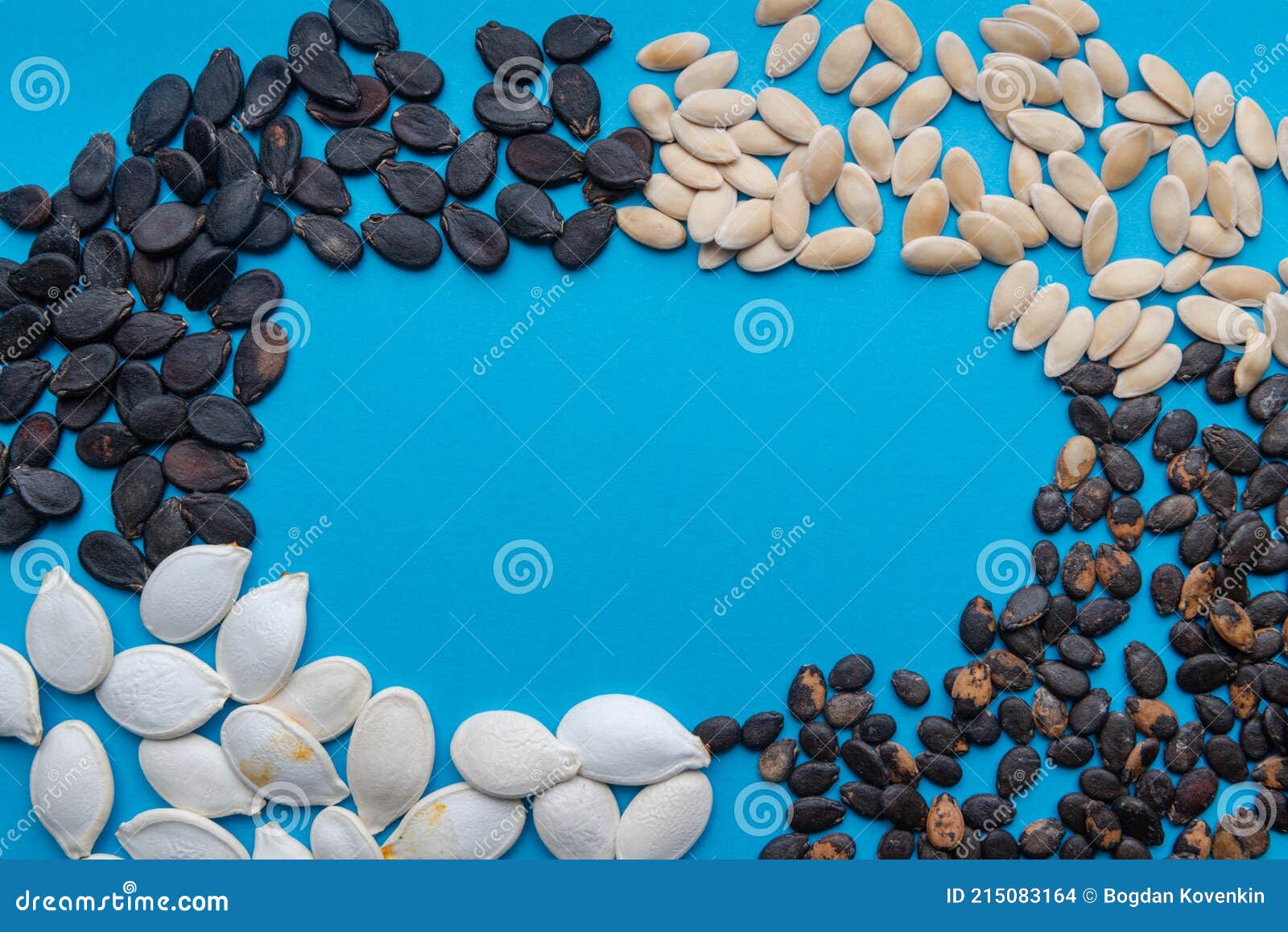 Various Varieties of Watermelon Seeds on a Blue Background Stock Photo ...