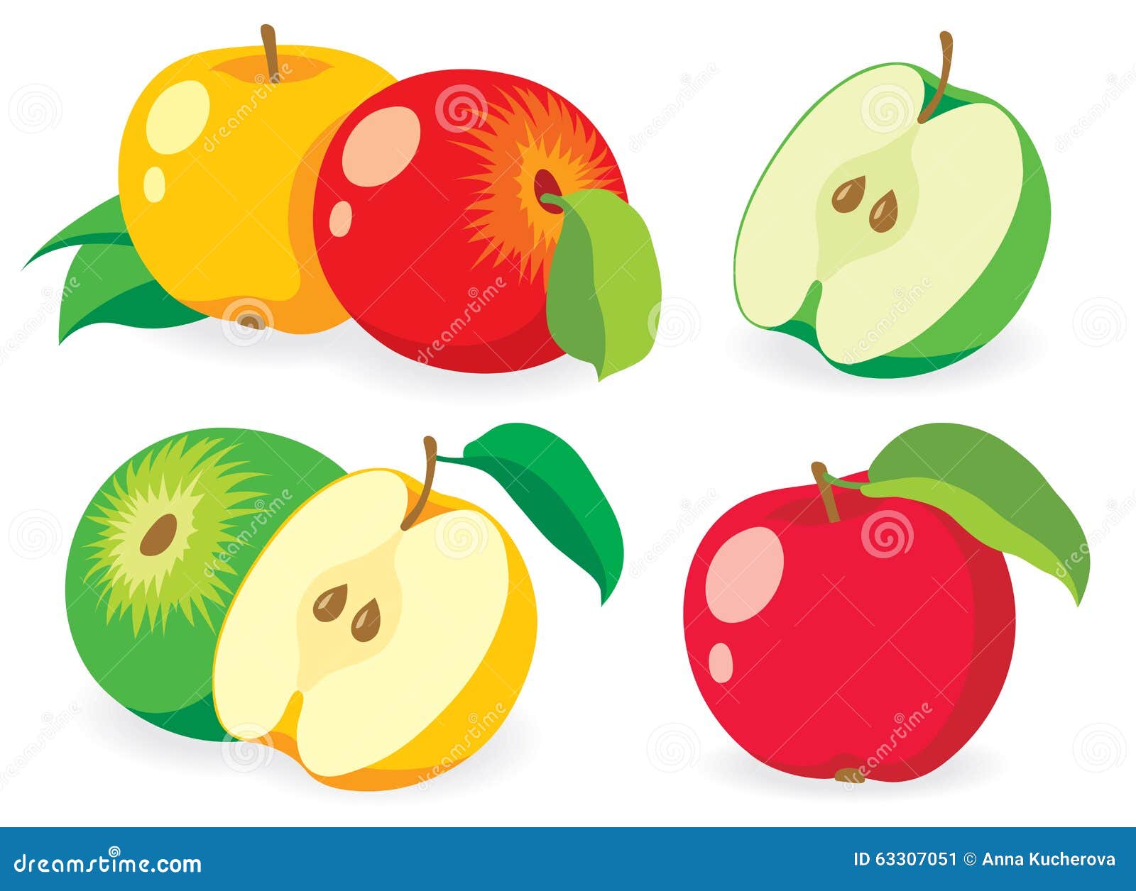 Various vector apples stock vector. Illustration of assortment - 63307051
